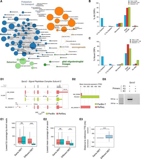Sqanti Extensive Characterization Of Long Read Transcript Sequences For Quality Control In Full