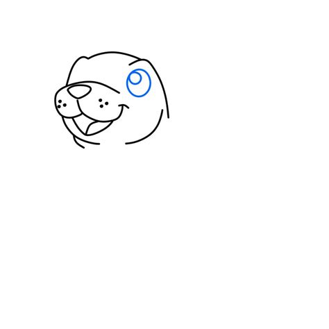 Step 4