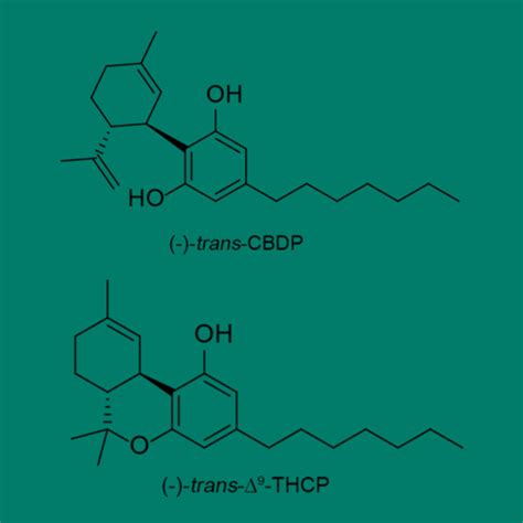 Meet Thcp And Cbdp Study Reveals The Identification Of Two New