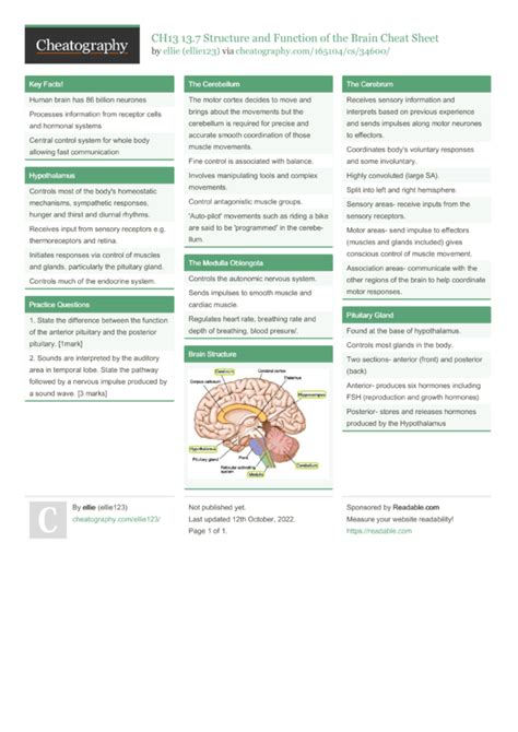 Ch13 137 Structure And Function Of The Brain Cheat Sheet By Ellie123 Download Free From