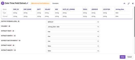 How Can I Extract Day Month And Year From Datetime Field Columns