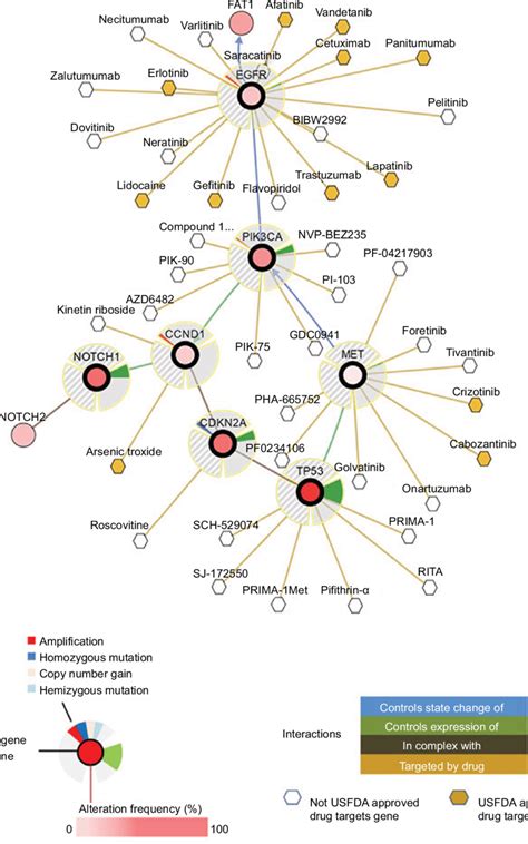General Interactions Of Genomic Mutations Tp53 Cdkn2a Ccnd1 Notch1 Download Scientific