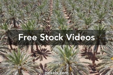 Nyil Jew Videos Download The Best Free 4k Stock Video Footage And Nyil Jew Hd Video Clips