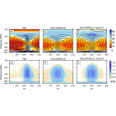 The Equilibrated State Of The Walker Cell For Three Configurations With
