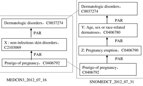 7 An Example Of Alternative Classification Download Scientific Diagram