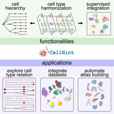 Automatic Cell Type Harmonization And Integration Across Human Cell Atlas Datasets Cell
