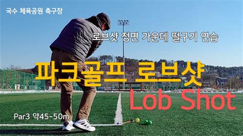 파크골프 로브샷 겨울훈련 Lob Shot Youtube