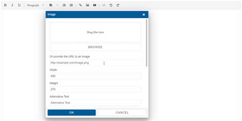 Blazor Blazor Editor With Images Https Htmlelements