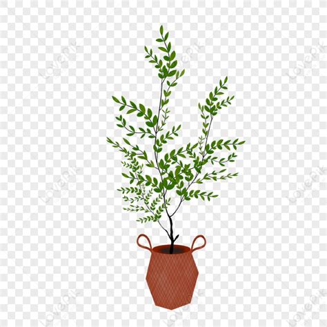 가느 다란 가지와 잎이있는 입체 일러스트 화분장식물푸른 잎 Png 일러스트 무료 다운로드 Lovepik