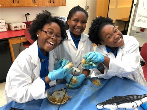 Community Pipeline Programs The Citizen Science Lab