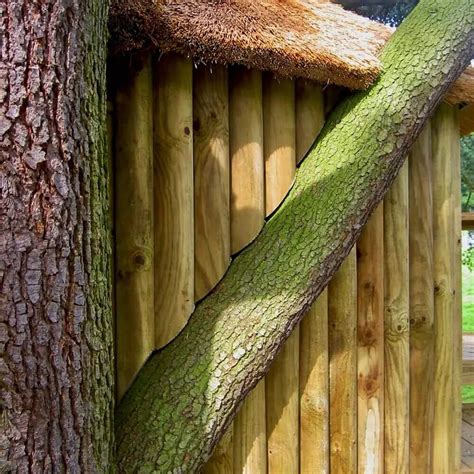 Garden Treehouse Wrapping A Blue Cedar Treehouse Life