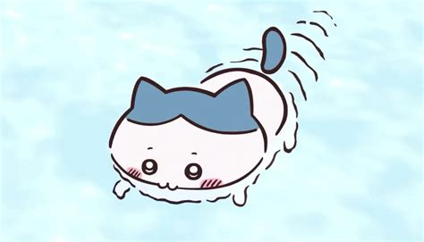 임도한 Dohan01 Twitter