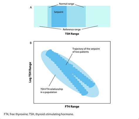 Range Considerations For Tsh Measurement Scheme A Illustrates Three