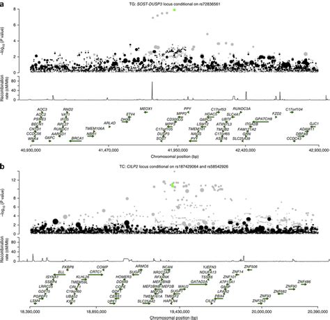 Regional Association Plots Of The Conditional Analysis In Loci Where