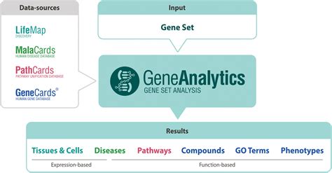Geneanalytics An Integrative Gene Set Analysis Tool For Next Generation Sequencing Rnaseq And