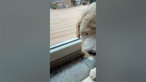 Not Yet Cunkey Youtube