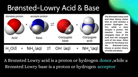 Acid Base Properties Of Water Group 5202404221305140000pdf