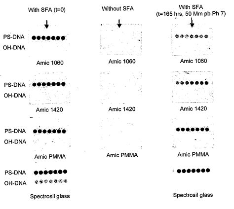Modified Molecular Arrays Eureka Patsnap