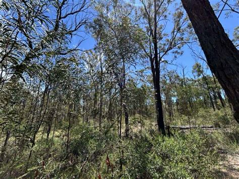 Lot 26 Koala Drive Millmerran Rural Agencies