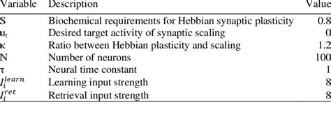 Model Parameters Used By The Attractor Network Adapted From Osan Et Al
