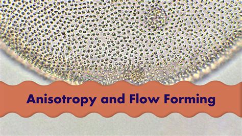 Influence Of Anisotropy On The Flow Forming Process Of Ferrous Metals