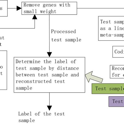 The Analysis Flowchart Of Cancer Gep Data Using Sr Based Methods For