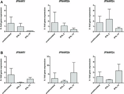 Ifnar1 And Ifnar2 Mrna Expression In Ifnα Subtype Stimulated Cells