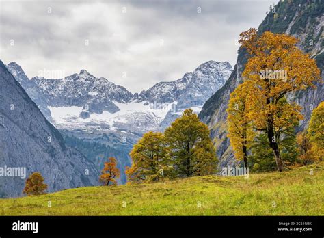 Autumn View Of The Maple Trees At Ahornboden Karwendel Mountains