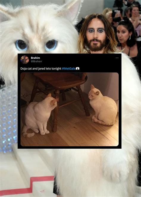 Memes Archives Buro