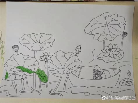 杭州西湖曲院风荷简笔画怎么画简单（热门14张） 简笔画图片大全