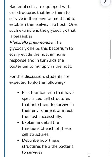 Solved Bacterial Cells Are Equipped With Cell Structures Chegg