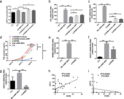 Reduction Of Inhbb Inhibited Adcy1 And Impaired Decidualization A