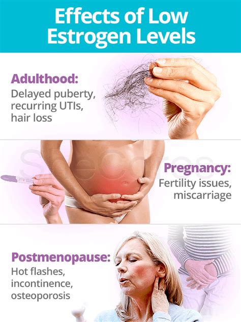 Estrogen Levels Shecares