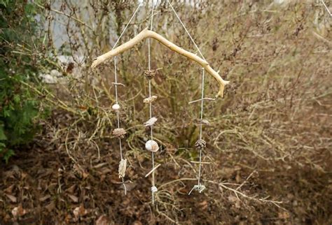 Wald Mandala Draußen Unterwegs Mit Kindern Mogli Stiftung