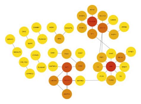 Corn Human Protein Interaction Network Download Scientific Diagram