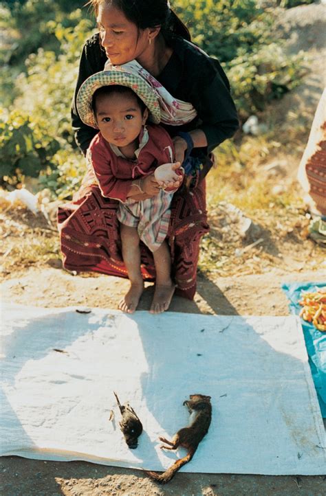 Volunteer Service Abroad New Zealand Geographic