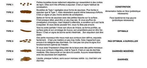 Ce Que Vos Selles Révèlent Sur Vous