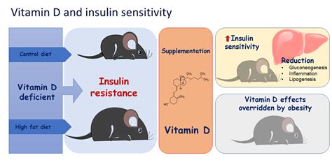 Pdf Vitamin D And Insulin Sensitivity