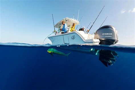 Mastering Dead Bait Trolling Essential Tips And Techniques