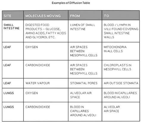 Diffusion In Biology Biology For Gcseigcse Year 11 Pdf Download