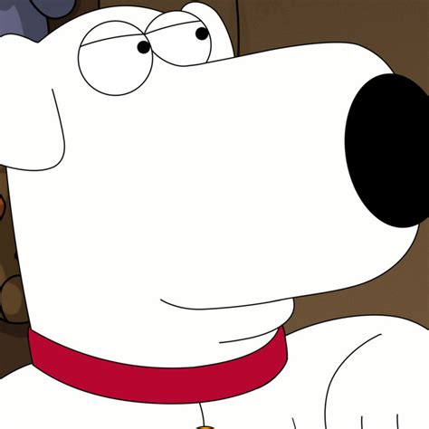 Doppiatore Brian Griffin