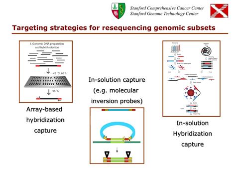 Ppt An Introduction To Next Generation Sequencing Powerpoint Presentation Id1786444