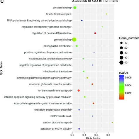 Analysis Of The Transcriptome Profiles Of Brain Tissue After Infection Download Scientific