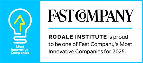 Vermicomposting For Beginners Rodale Institute