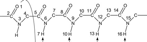 The Hydrogen Bonding Pattern Of Several Polypeptide Helices Download Scientific Diagram