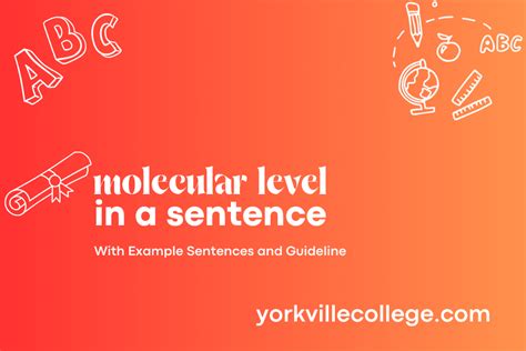 How To Use Molecular Level In A Sentence Easy Examples