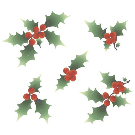 Clipart Holly Leaf