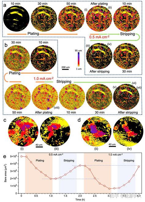 锂枝晶 3d电影” 金属锂在沉积 脱出过程中的形貌演化 知乎