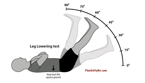 Fitnessassessment Flexibilityrx™ Performance Based Flexibility Training