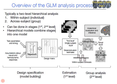 【fmri Note】module 16 一般线性模型在fmri上的应用 知乎 【fmri Note】module 16 一般线性模型在fmri上的应用 知乎